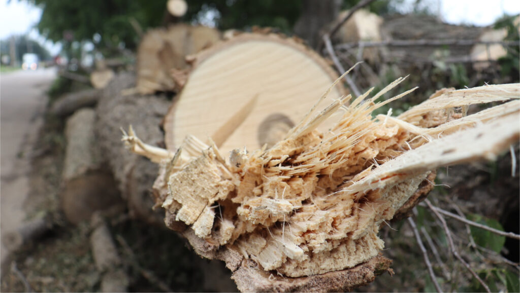 Storm Recovery Update: Blair Moves Forward After Severe Weather - Blair ...